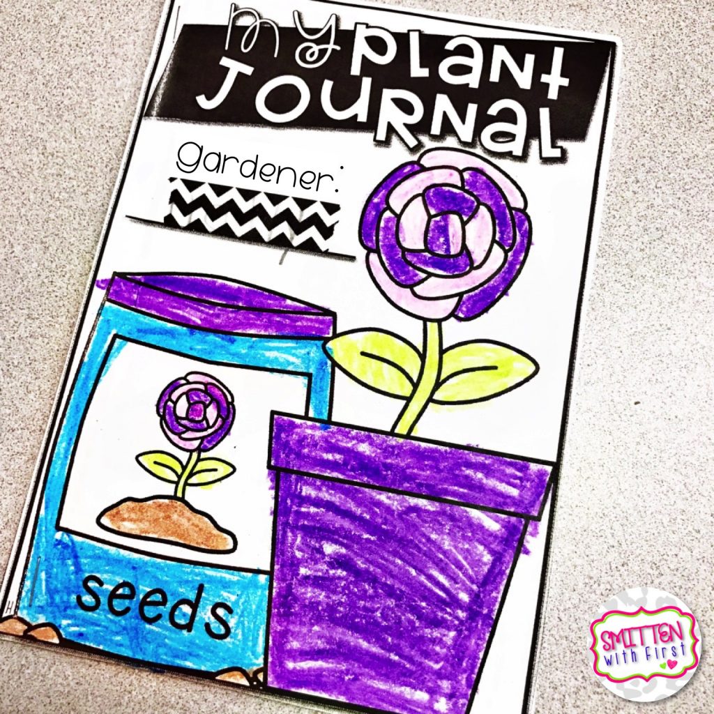 Plant Activities for 1st Grade Plant Life Cycle Plant Parts