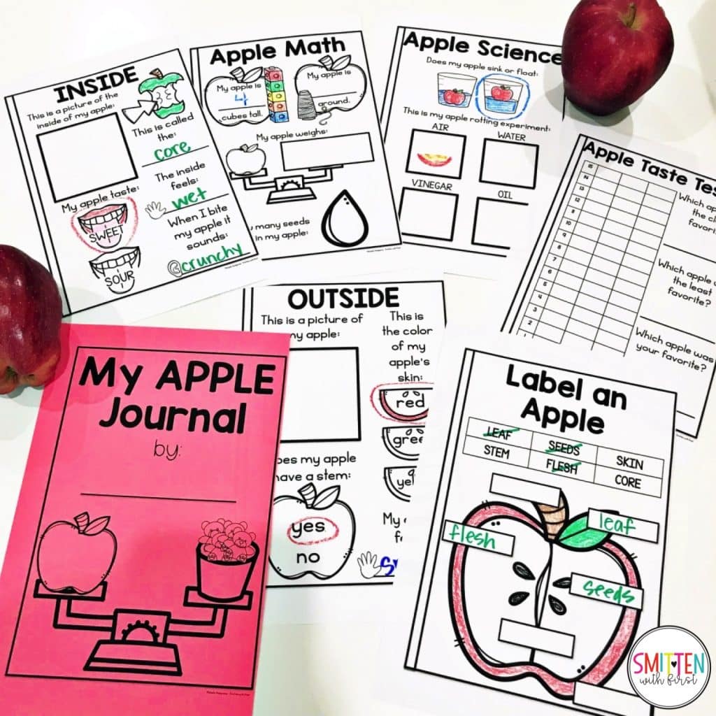 Apple Activities for math, science, and 5 senses for 1st and 2nd grade