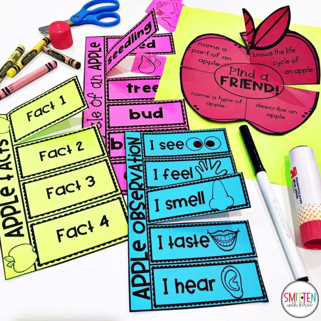 Apple Activities for math, science, and 5 senses for 1st and 2nd grade