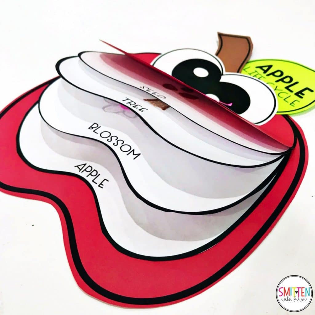 apple flip book for apple week learning - Smitten with First