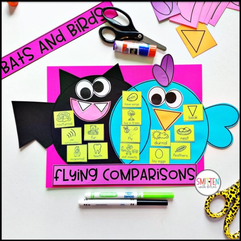 Stellaluna Activities and Bat Activities for 1st Grade, 2nd Grade