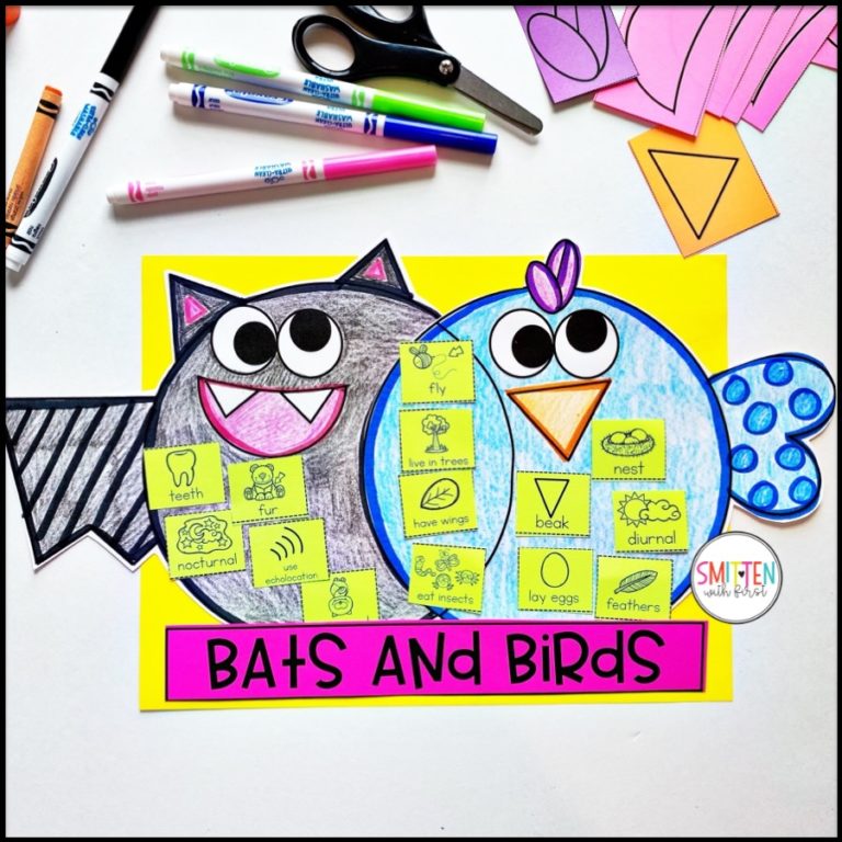 Stellaluna Activities and Bat Activities for 1st Grade, 2nd Grade