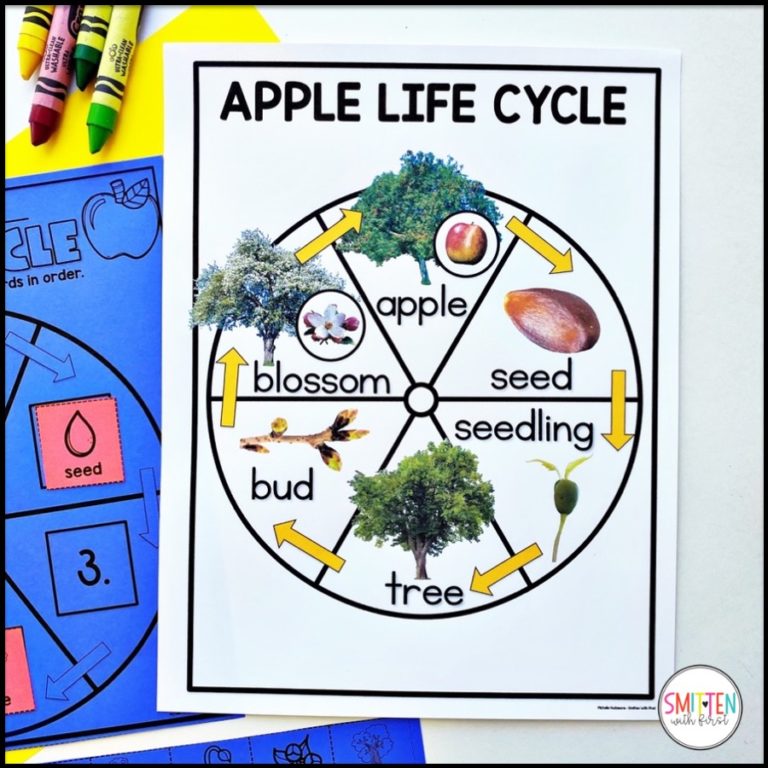 Apple Activities for Apple Week - Smitten with First