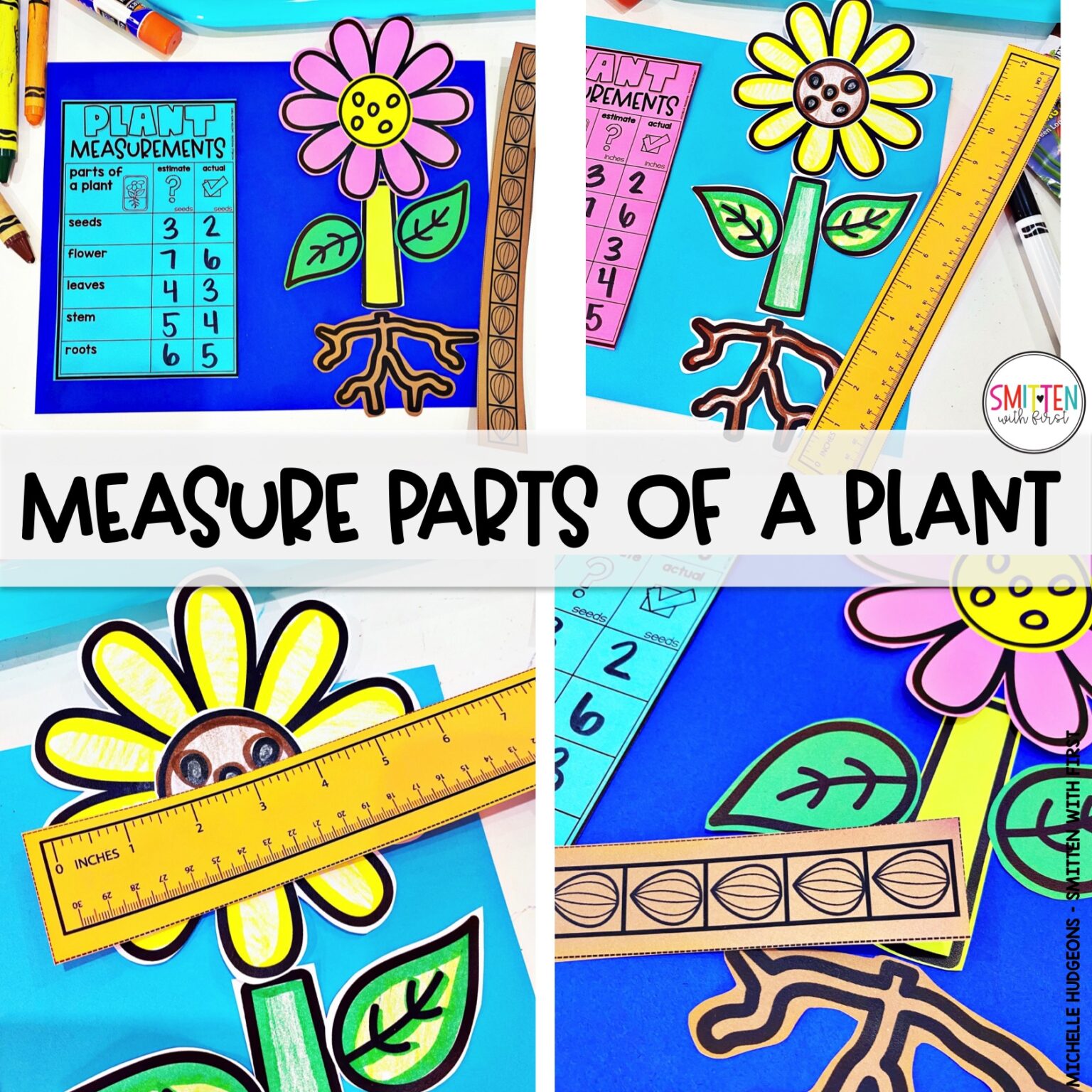 Parts of a Plant Measurement Activities 1st Grade 2nd Grade